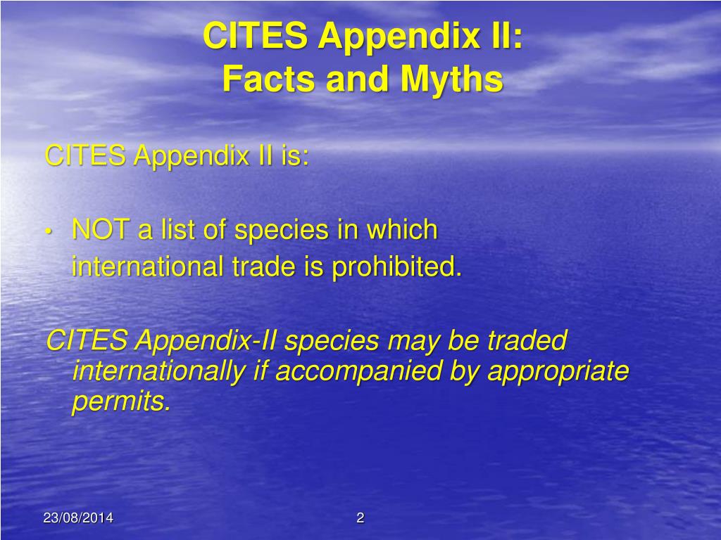 PPT - Queen Conch ( Strombus gigas ): A CITES - Fisheries Success Story ...