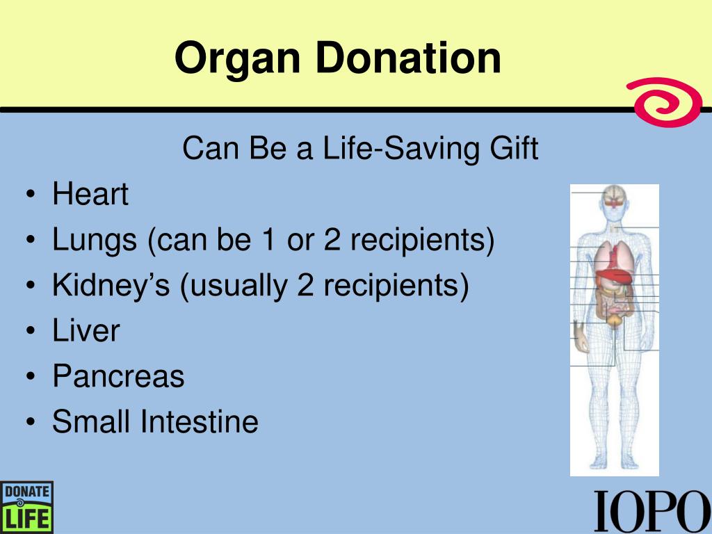 PPT - IOPO Indiana Organ Procurement Organization PowerPoint ...