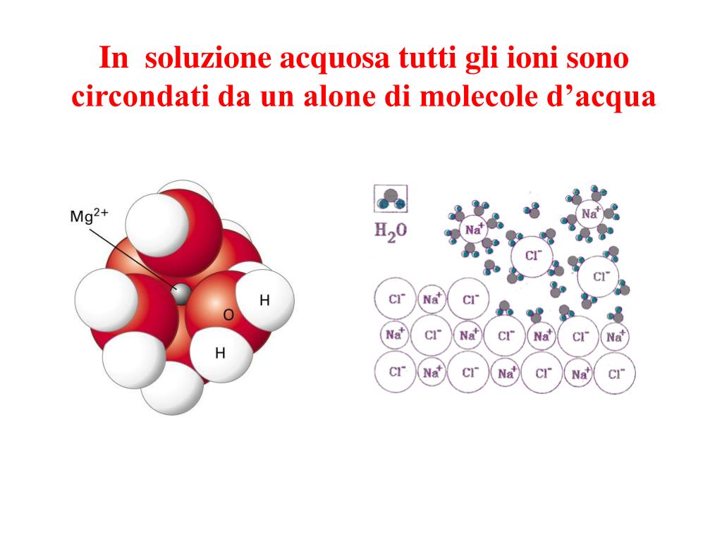 PPT - I canali ionici permettono dei flussi molto rapidi e intensi ...
