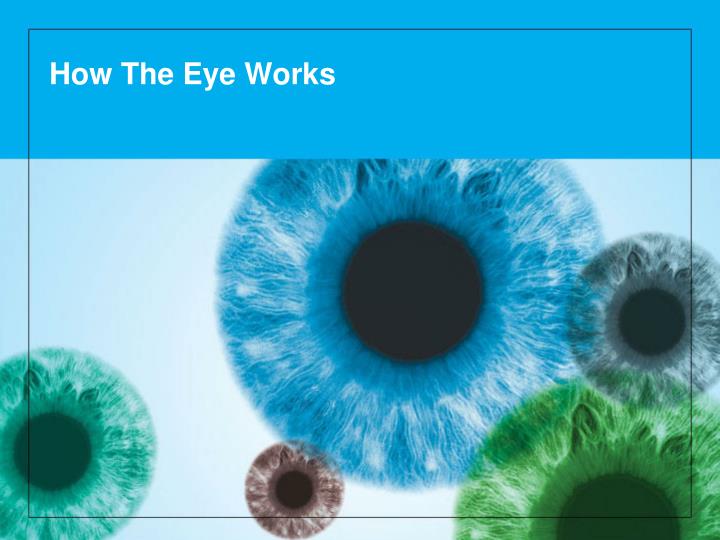 PPT - How The Eye Works PowerPoint Presentation, free download - ID:3478355