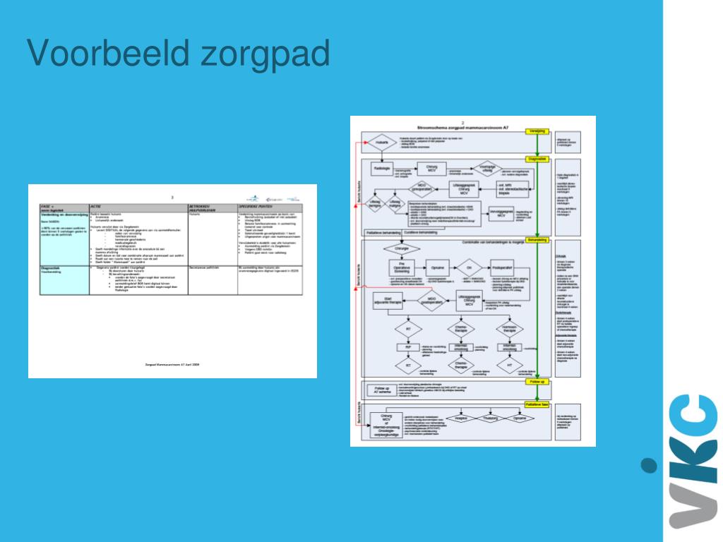 PPT - Integrale Oncologische Zorgpaden PowerPoint Presentation, free ...