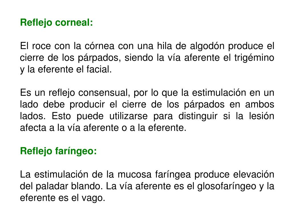 PPT - Reflejos: concepto, fisiología y exploración en la práctica ...