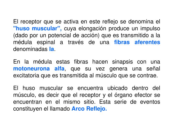 PPT - Reflejos: concepto, fisiología y exploración en la práctica ...