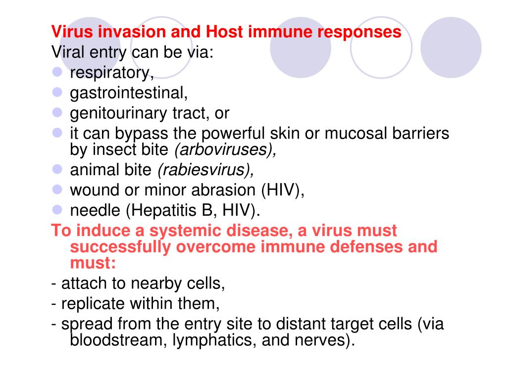 PPT - The Pathology of Viral Infections PowerPoint Presentation, free ...