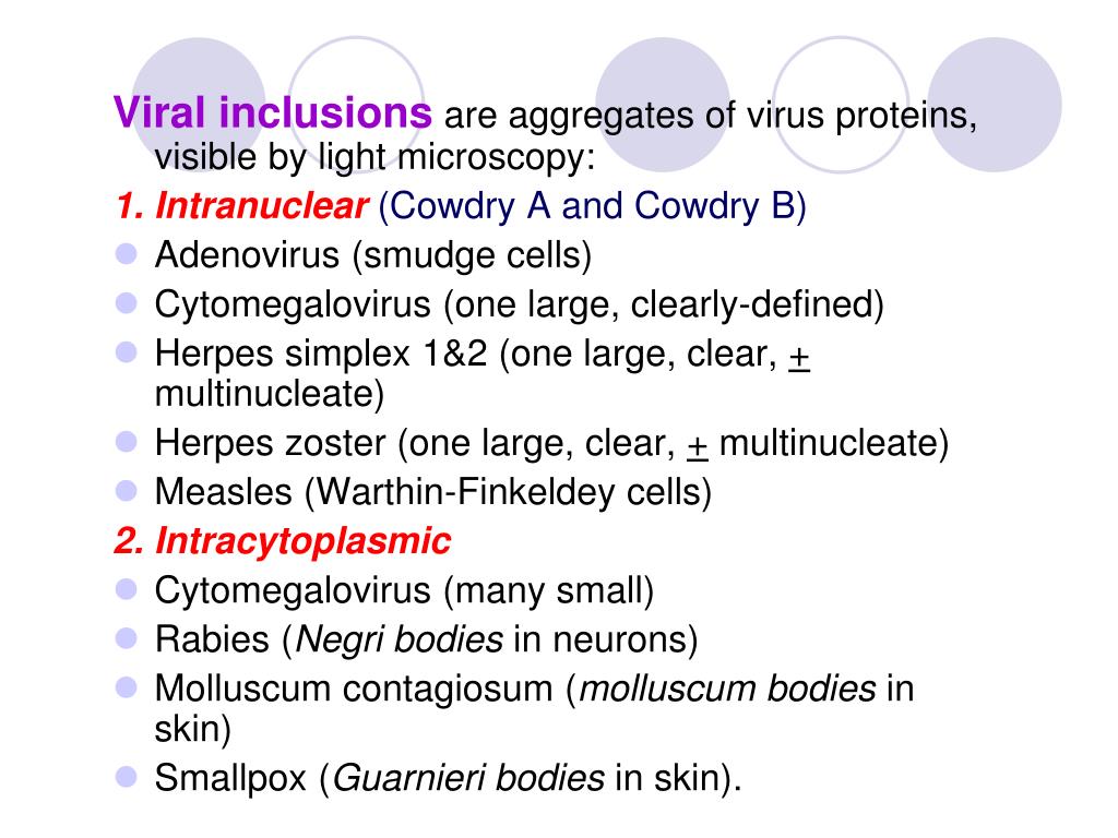 PPT - The Pathology of Viral Infections PowerPoint Presentation, free ...