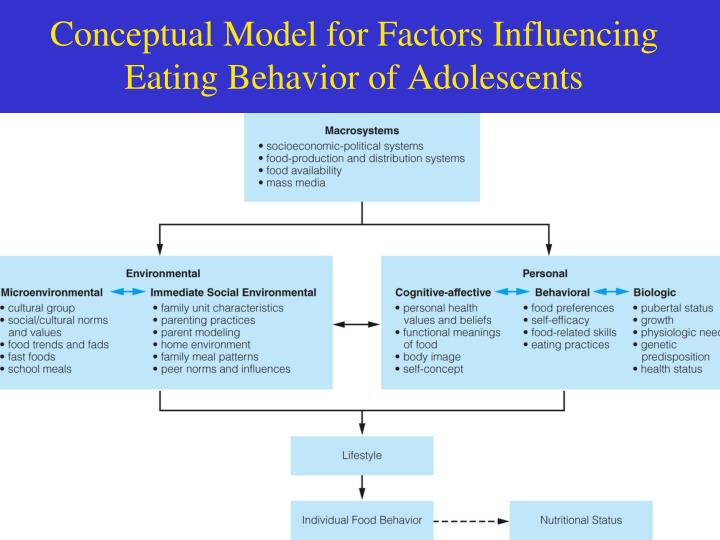 Ppt Chapter 14 Adolescent Nutrition Powerpoint Presentation Id 3481531