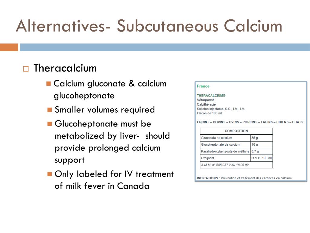 PPT - Aspiration Pneumonia in A Holstein Cow Following a Liquid Calcium ...