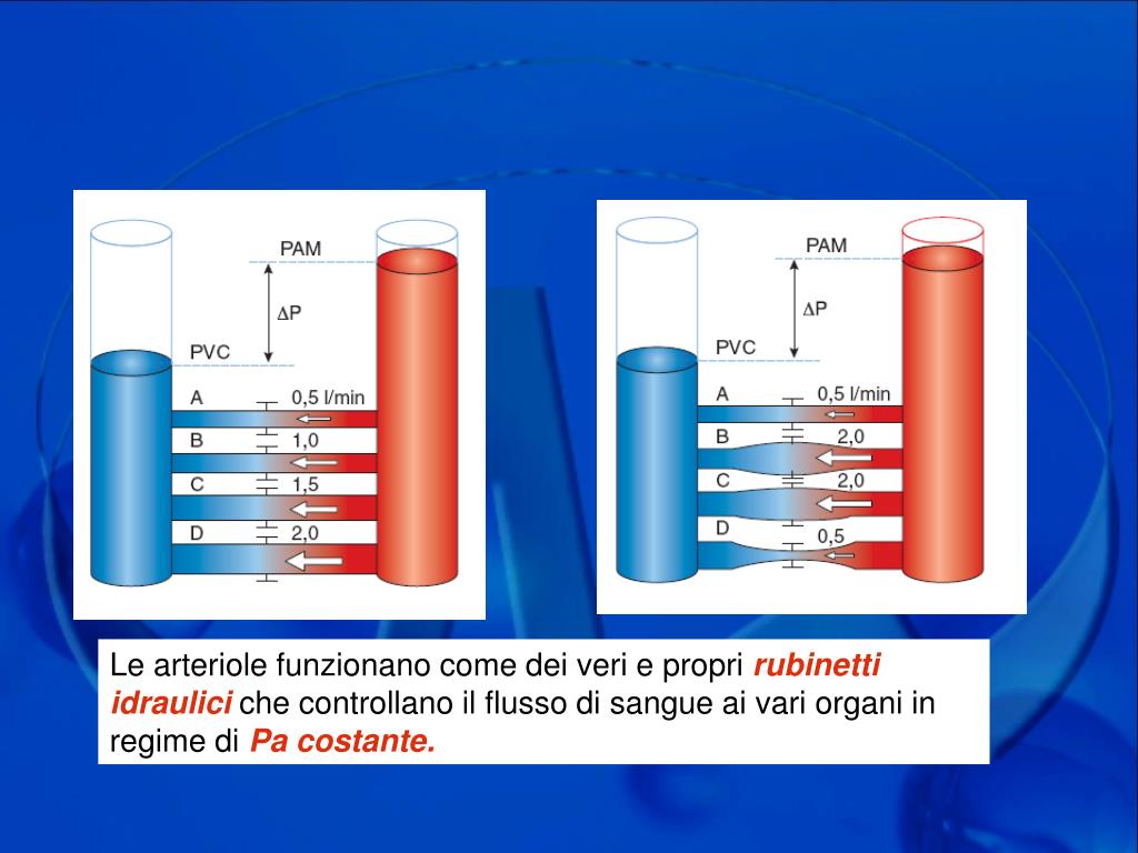 PPT - I sartani e il danno d’organo PowerPoint Presentation, free ...