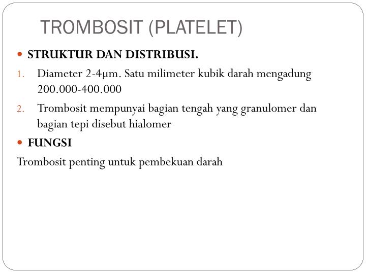 PPT - DARAH PERIFER, SUM-SUM TULANG DAN HEMATOPOIESIS PowerPoint ...
