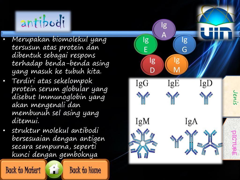 PPT - Aku dan Sistem Pertahanan Tubuhku By: Ditya Ambar PowerPoint Presentation - ID:3482670