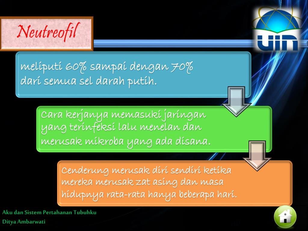 PPT - Aku dan Sistem Pertahanan Tubuhku By: Ditya Ambar PowerPoint Presentation - ID:3482670