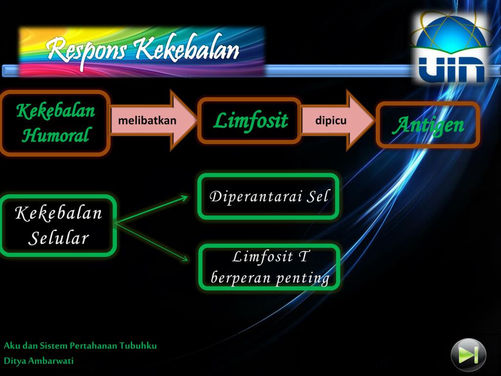 PPT - Aku dan Sistem Pertahanan Tubuhku By: Ditya Ambar PowerPoint Presentation - ID:3482670