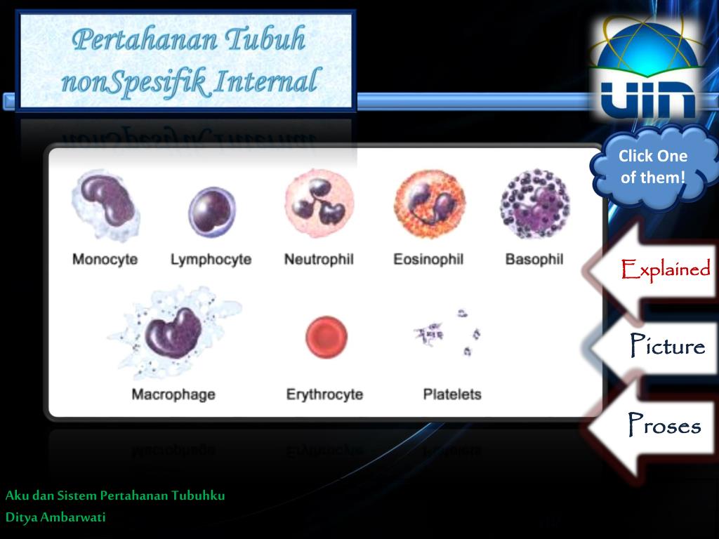 PPT - Aku dan Sistem Pertahanan Tubuhku By: Ditya Ambar PowerPoint Presentation - ID:3482670