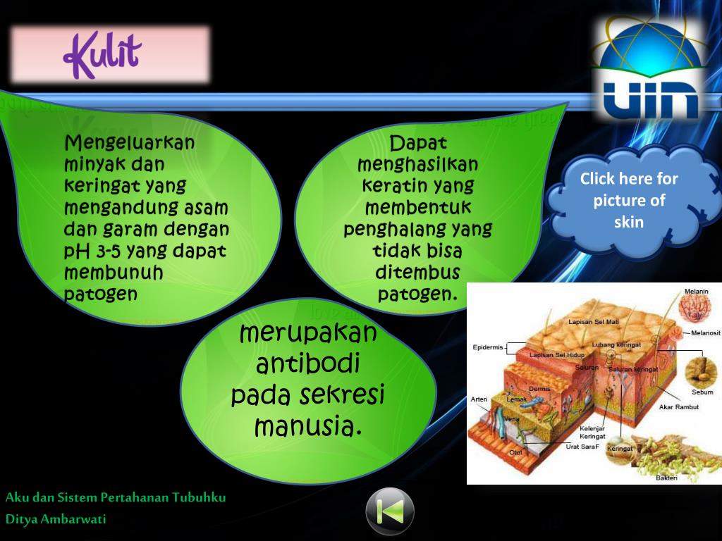 PPT - Aku dan Sistem Pertahanan Tubuhku By: Ditya Ambar PowerPoint Presentation - ID:3482670