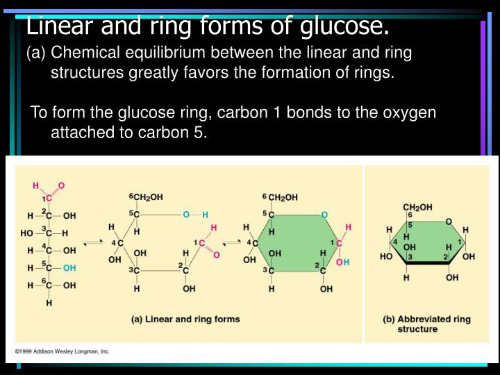 PPT - Basic organic chemistry of important macromolecules PowerPoint ...