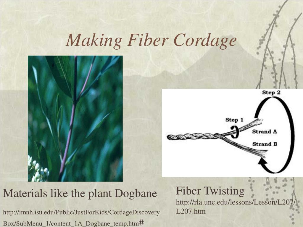 PPT - Paleo-ethno-botany 'ancient' - 'people' - 'plants' PowerPoint ...