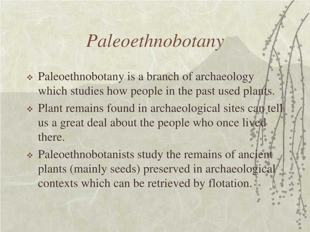 PPT - Paleo-ethno-botany 'ancient' - 'people' - 'plants' PowerPoint ...