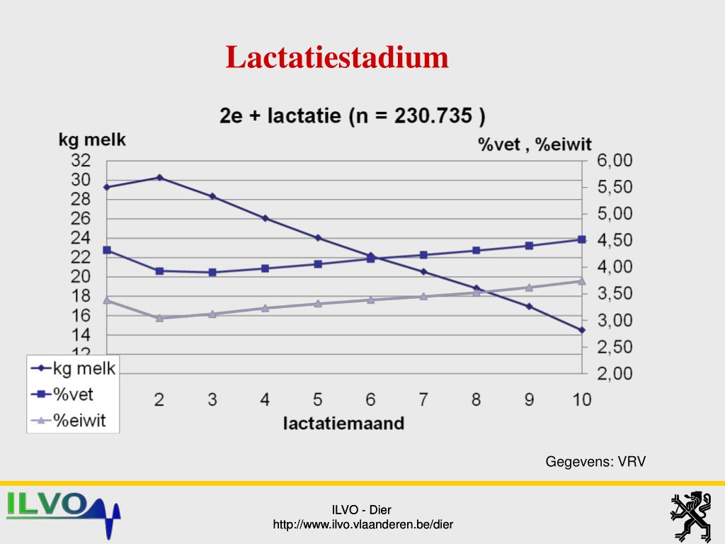 PPT - ADLO-Demo project: “ Vet en eiwit in de melk: sturen vanuit het ...