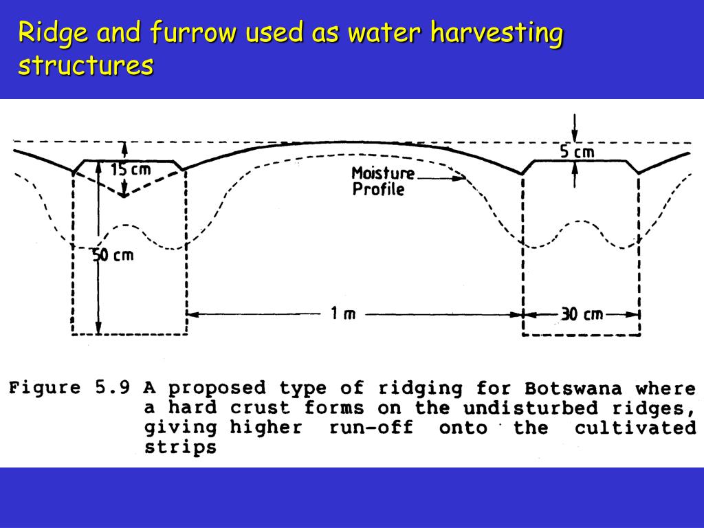 PPT - CONTOUR RIDGES and NARROW & BROAD BASED TERRACES Ridge & furrow ...