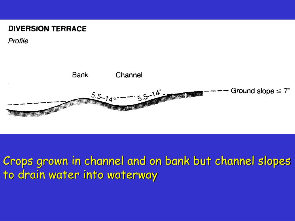 PPT - CONTOUR RIDGES and NARROW & BROAD BASED TERRACES Ridge & furrow ...