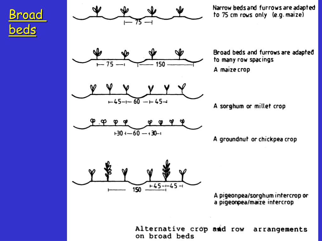 PPT - CONTOUR RIDGES and NARROW & BROAD BASED TERRACES Ridge & furrow ...