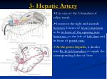 PPT - Coeliac Trunk PowerPoint Presentation - ID:3485578