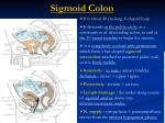 PPT - Coeliac Trunk PowerPoint Presentation - ID:3485578