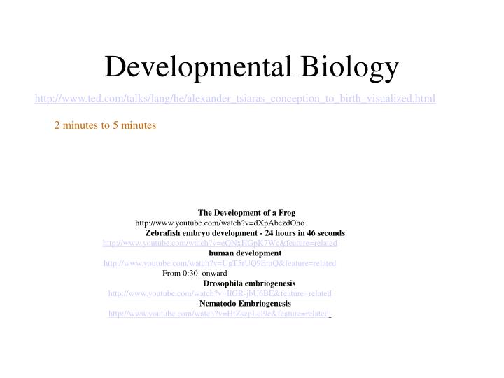 PPT - Developmental Biology PowerPoint Presentation, free download - ID ...