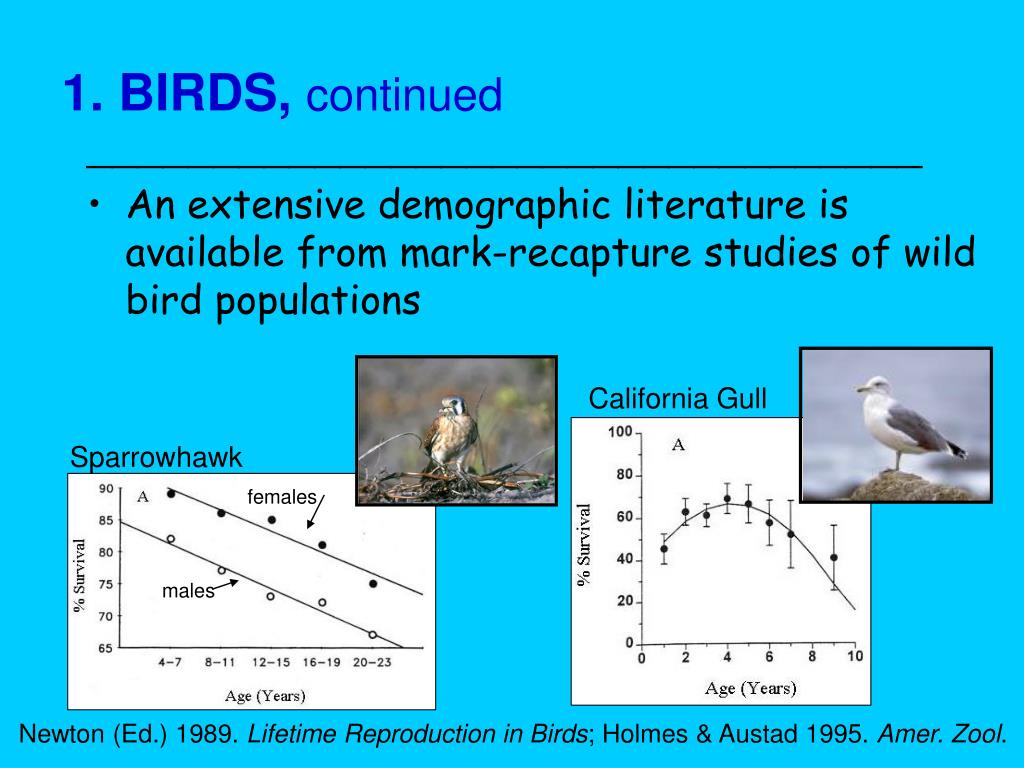 PPT - Naturally Long-lived Animal Models for the Study of Slow Aging ...