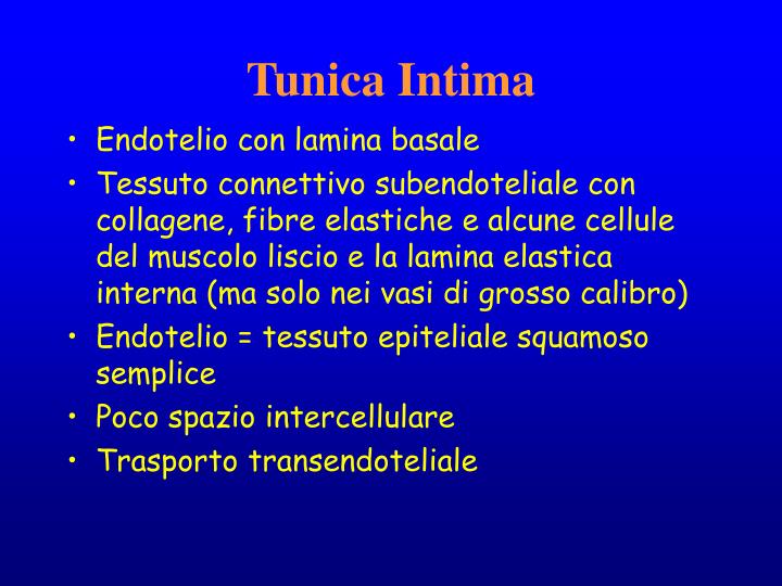 PPT - Anatomia del cuore PowerPoint Presentation - ID:3486961