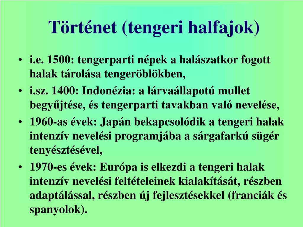 PPT - Az intenzív rendszerek vázlatos bemutatása PowerPoint ...