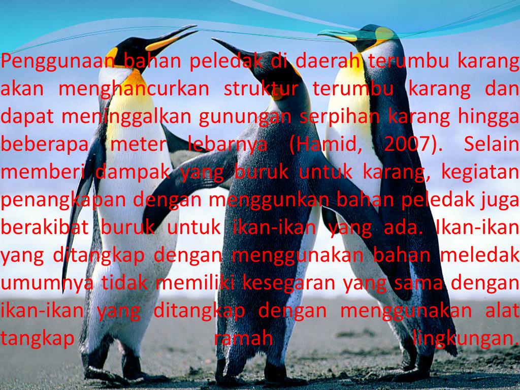 PPT - Penangkapan Ikan Dengan Bahan Peledak dan Bahan Beracun ... PPT - Penangkapan Ikan Dengan Bahan Peledak dan Bahan Beracun ...