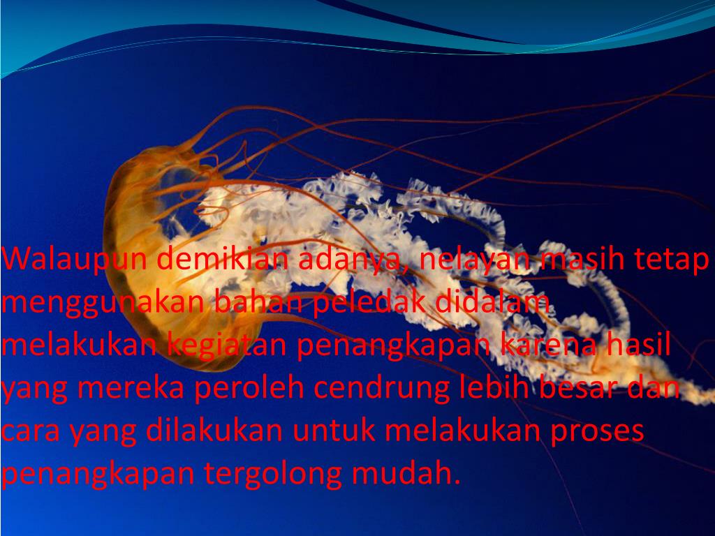 PPT - Penangkapan Ikan Dengan Bahan Peledak dan Bahan Beracun ... PPT - Penangkapan Ikan Dengan Bahan Peledak dan Bahan Beracun ...