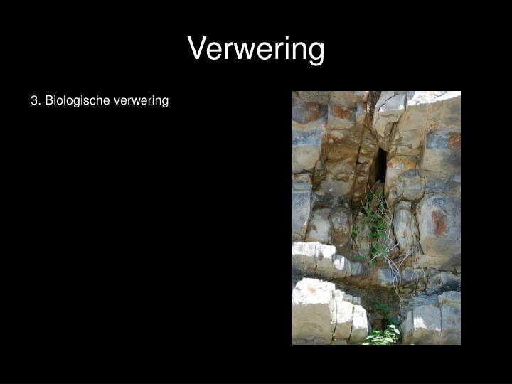 PPT - Verwering PowerPoint Presentation - ID:3489053