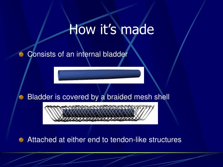 PPT - Artificial Muscle PowerPoint Presentation - ID:3489701