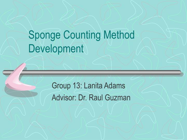PPT - Sponge Counting Method Development PowerPoint Presentation, free ...