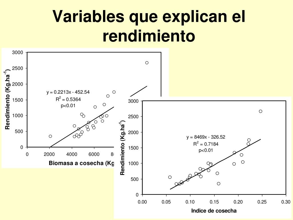 PPT - Limitantes tecnológicas para la producción de COLZA en Uruguay ...