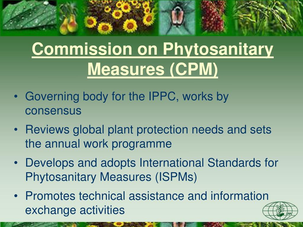 PPT - The International Plant Protection Convention (IPPC) PowerPoint ...