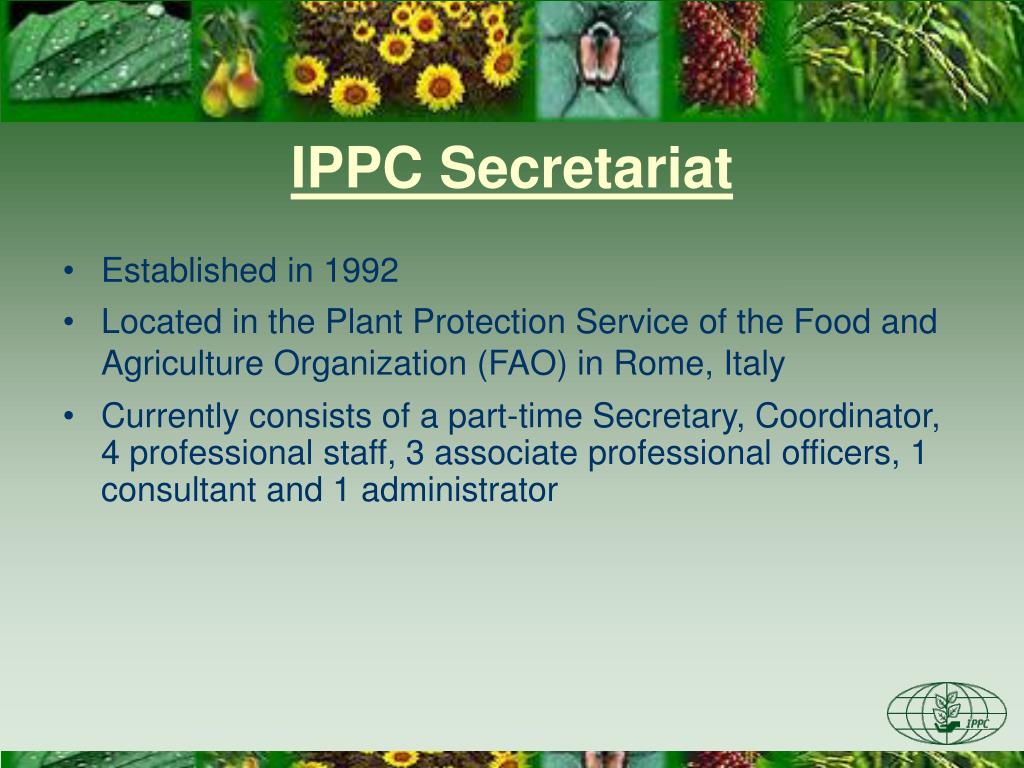 PPT - The International Plant Protection Convention (IPPC) PowerPoint Presentation - ID:3490585