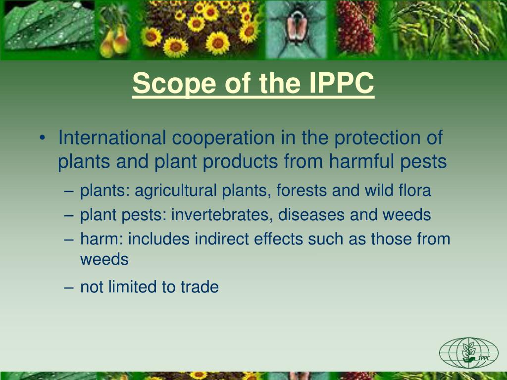 PPT - The International Plant Protection Convention (IPPC) PowerPoint ...