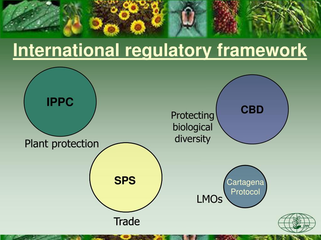 PPT - The International Plant Protection Convention (IPPC) PowerPoint ...