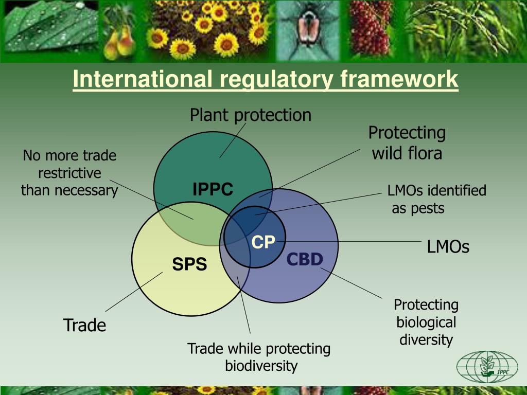 PPT - The International Plant Protection Convention (IPPC) PowerPoint ...
