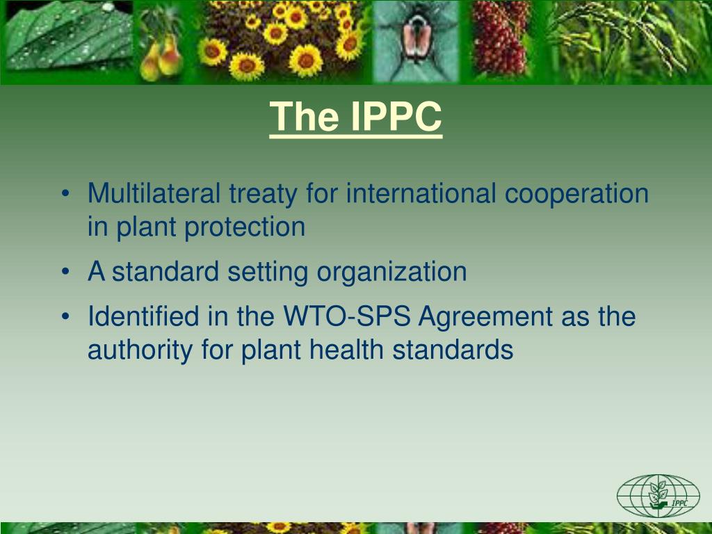 PPT - The International Plant Protection Convention (IPPC) PowerPoint ...
