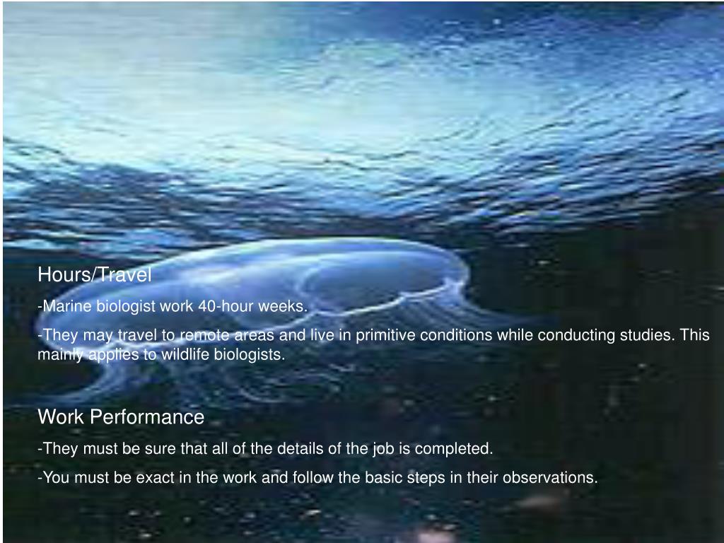 PPT - Marine Biology PowerPoint Presentation, free download - ID:3490954