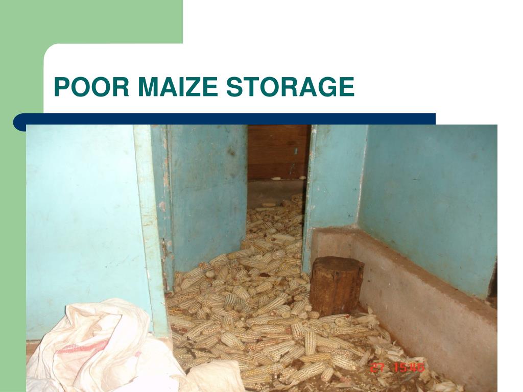 PPT - THE MINISTRY OF HEALTH-KENYA PowerPoint Presentation, free ...