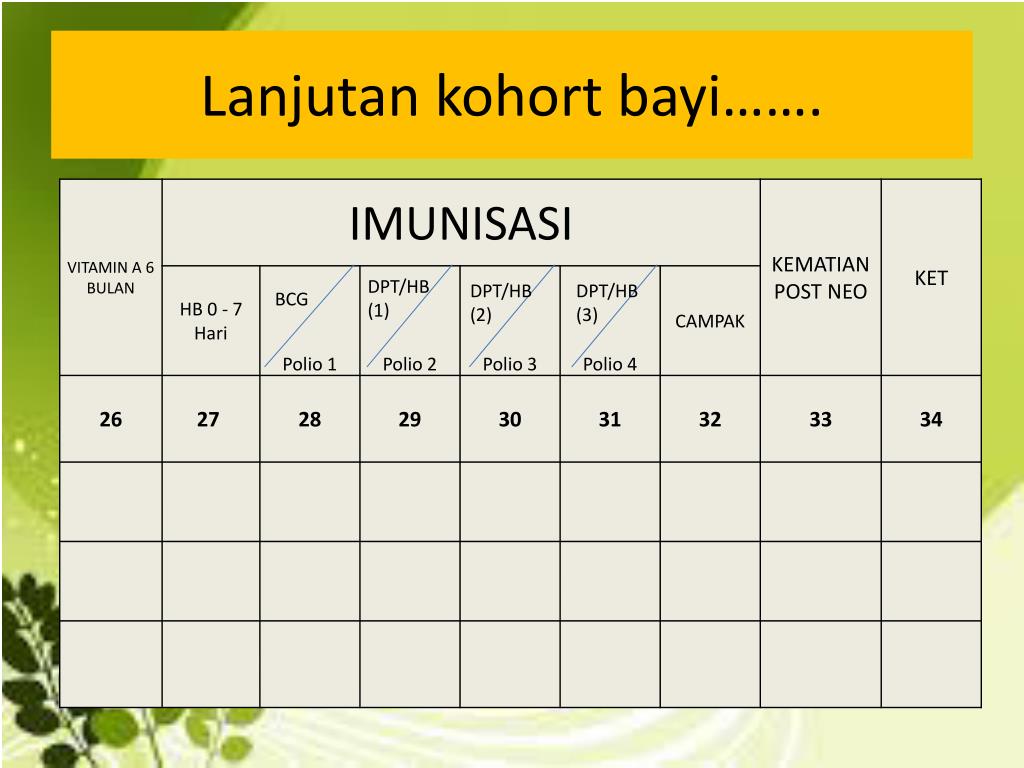 PPT - PEMANTAPAN KOHORT BAYI DAN BALITA PowerPoint Presentation, free download - ID:3491483