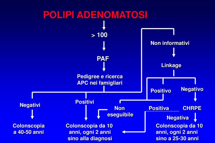 PPT - POLIPI DEL COLON PowerPoint Presentation - ID:3492454