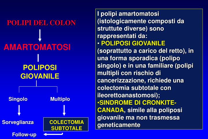 PPT - POLIPI DEL COLON PowerPoint Presentation - ID:3492454