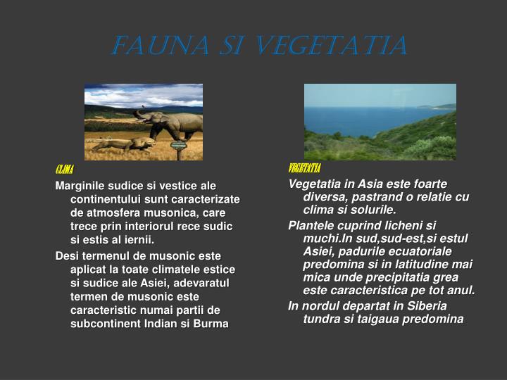 PPT - ELEMENTE DEOSEBITE ALE CLIMEI ASIEI PowerPoint Presentation - ID ...