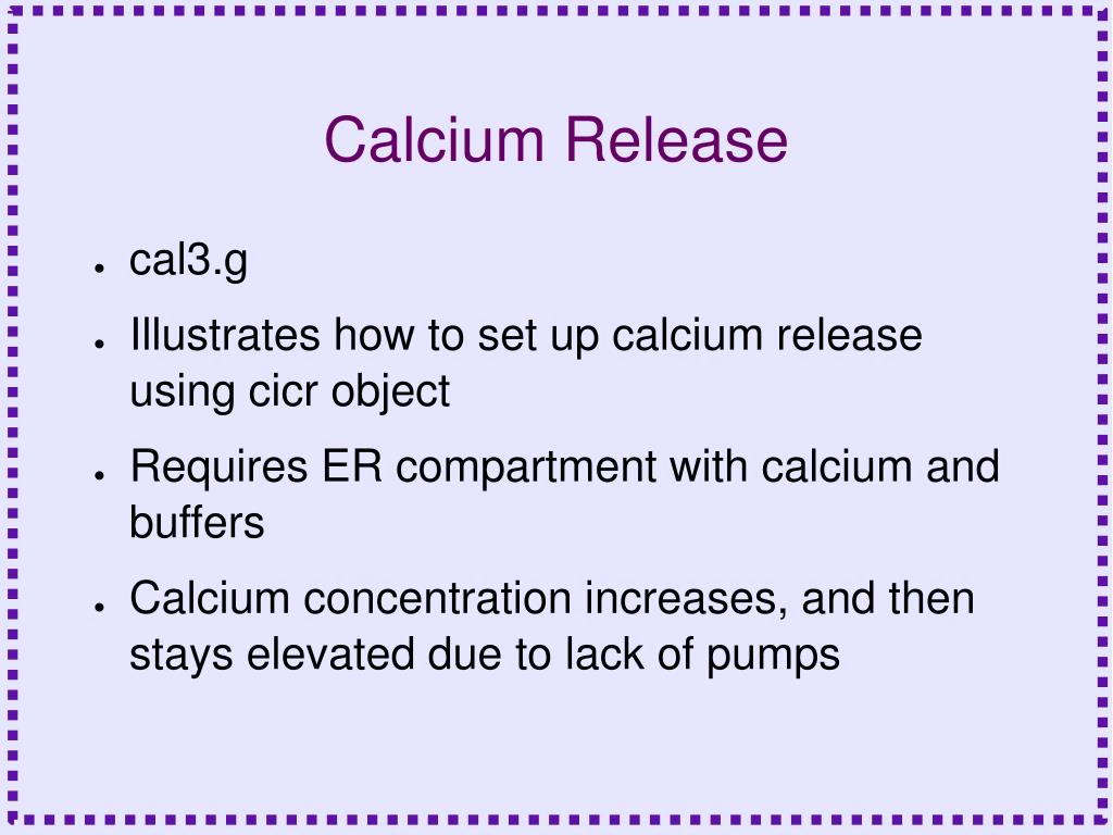 PPT - Computational Modelling of Calcium Concentration Dynamics in ...